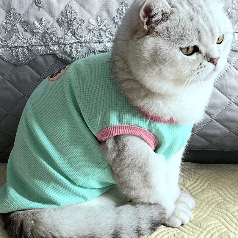 Pakaian Kucing, Gaya Comel, Nipis Musim Panas, Ragdoll Anak Kucing ...