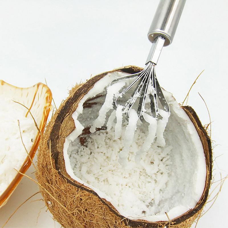 Stainless Kitchen Fruit Tools Coconut Shaver Kitchen Fish Clean ...