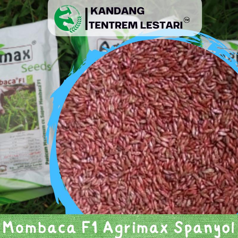 Benih Super Mombaca F1 500 Benih Agrimax Spanyol - Shop | Tokopedia