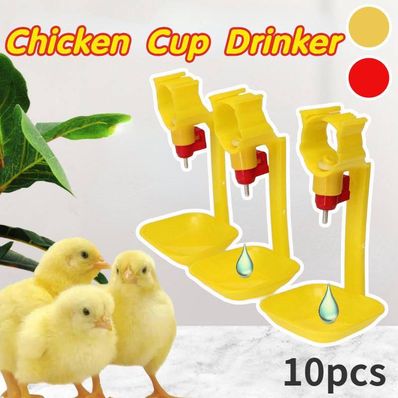 10PCS Chicken Water Dispenser Hanging Fully Automatic Chicke - TikTok ...