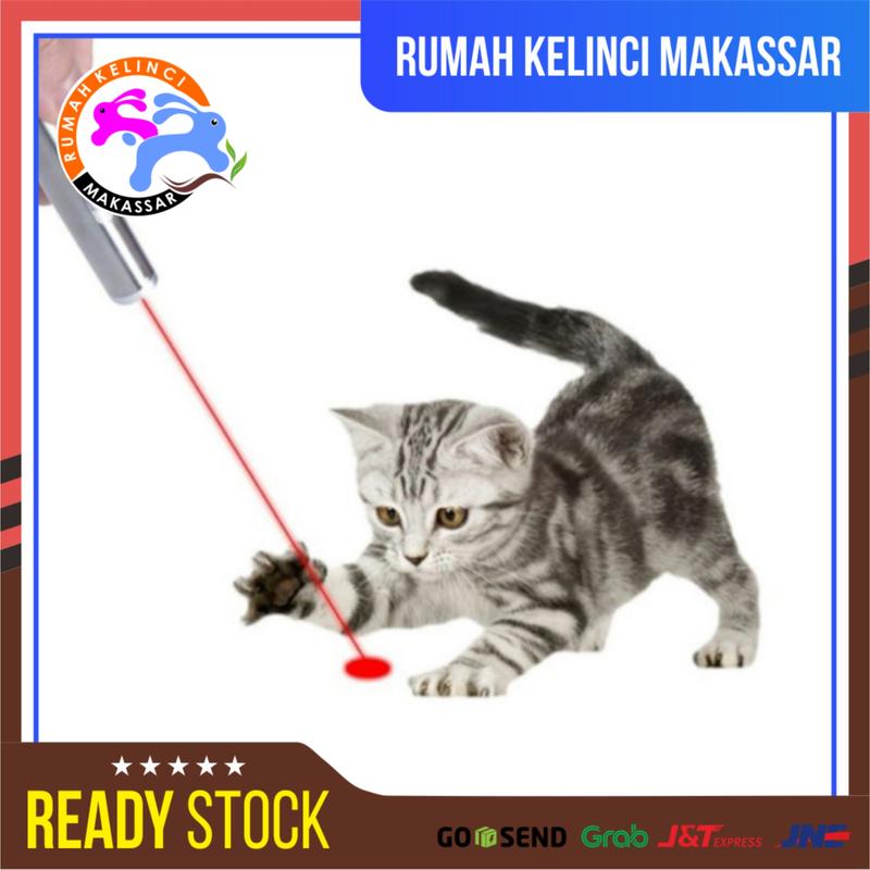 Laser Kucing Mainan Laser Pointer Presentasi Sudah Termasuk Batrai ...