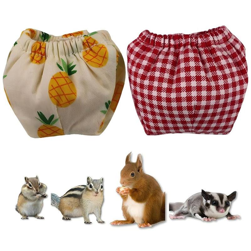 Small Ferret Clothes Absorbent Squirrel Diapers Potty Training - TikTok ...