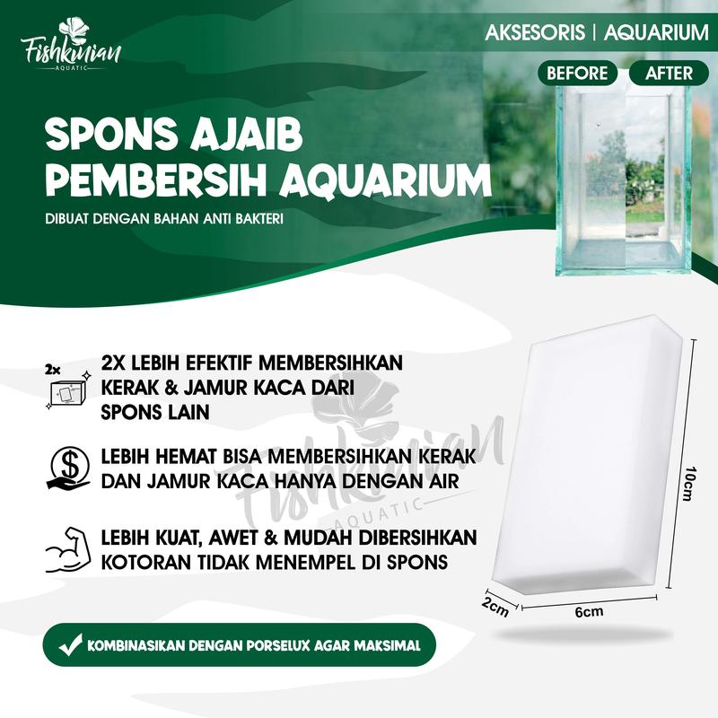 SPONS AJAIB PEMBERSIH KERAK DAN JAMUR KACA AQUARIUM - Shop | Tokopedia