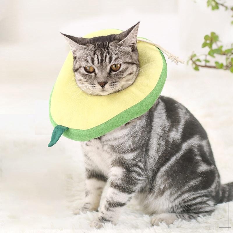 Pet Anti Licking Collar Circle Soft Cotton Cat Hood Pet Hood - TikTok ...