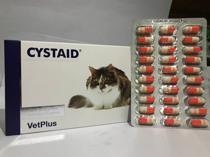 CYSTAID FOR CATS / SUPLEMEN MASALAH SALURAN KENCING KUCING (HARGA ...