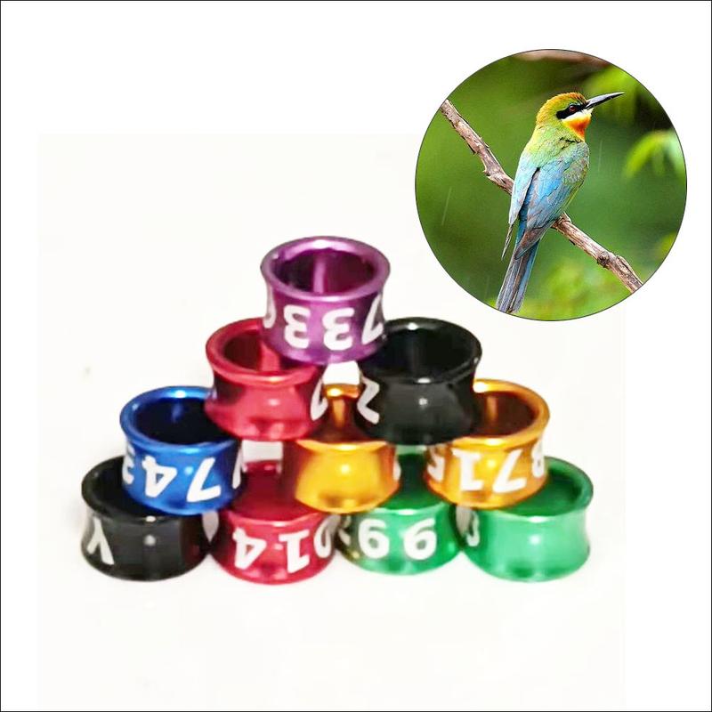 30/10 pcs Love Birds Foot Ring 3 to 8mm ALBS Parrot Foot Ring for ...