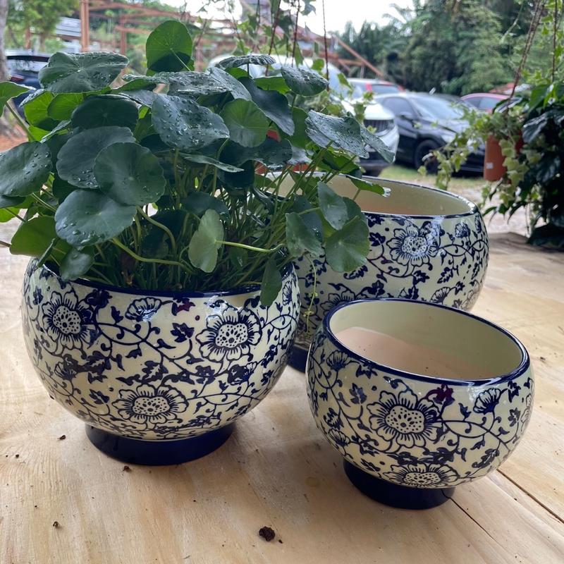 H2O - [Medium & Large Pot] Blue White Corak Ceramic Pot Design - TikTok ...