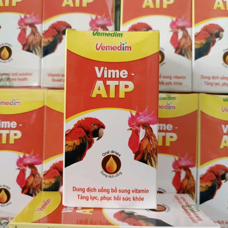 Lọ 20ml ATP B12 10.000mcg tăng lực, tăng bo, phục hồi sức khỏe - TikTok ...
