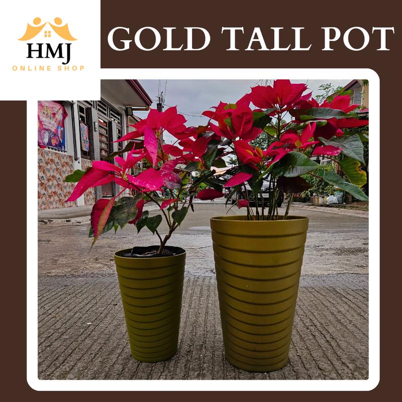 Elegant Gold Yayamanin Pots for Minimalist Classy Tall Slim Pots ...