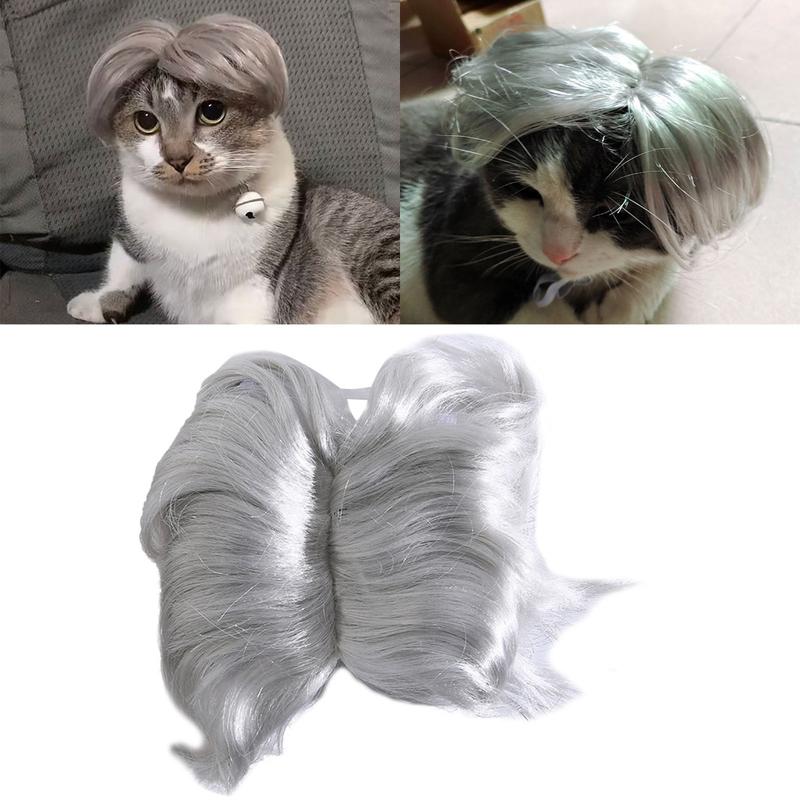 CVWE Carnivals Performance Pet Wigs Hat Prank Wigs Hat for Dog - TikTok ...