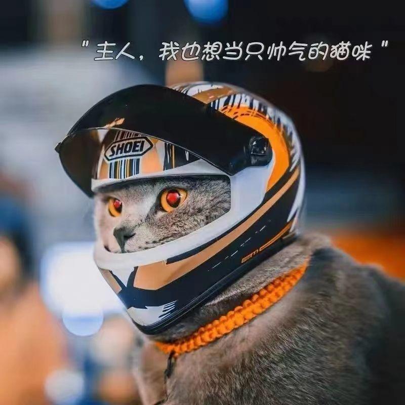 Topi Keledar Mini untuk Haiwan Peliharaan, Gaya TikTok, Topi - TikTok ...