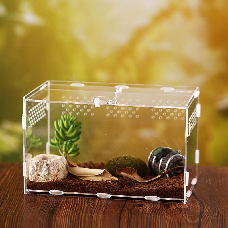 Reptile Transparent Lizard Hatcher Snakes Frogs Container Reptile ...