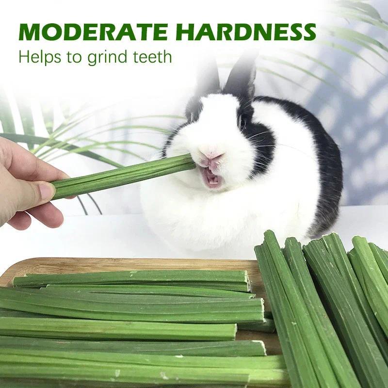 20g Rabbit Teeth Grinding Papaya Dry Cleaning Teeth Grinding Toy ...