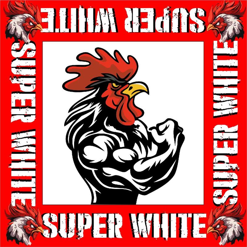 Limber matting 4x4 feet for roaster fighting - TikTok Shop Philippines