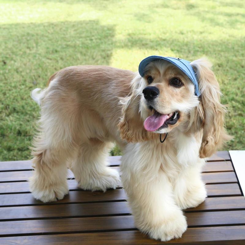 slolbut- Pet Baseball Cap Pet Headwear for Walks Pet Cartoon Baseball ...
