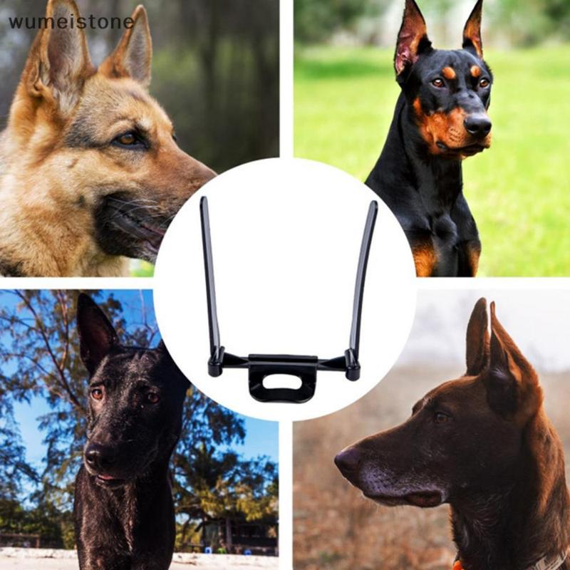 Fashion Ear Lifter Pet Ear Patch Set Dog Ear Corrective Care - TikTok ...