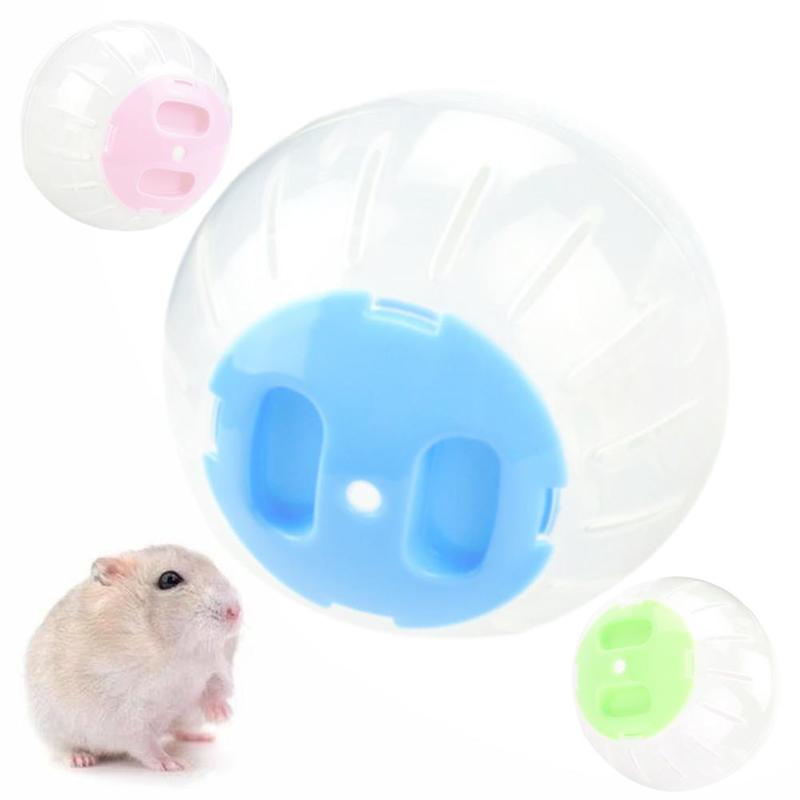 Mainan Hamster, dengan Penutup Berwarna-warni, Bola Larian, S4K8 ...