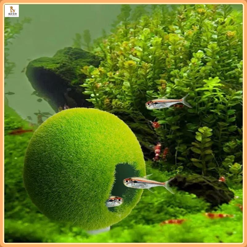 Fish tank landscaping/aquarium decoration ornaments/simulate - TikTok ...