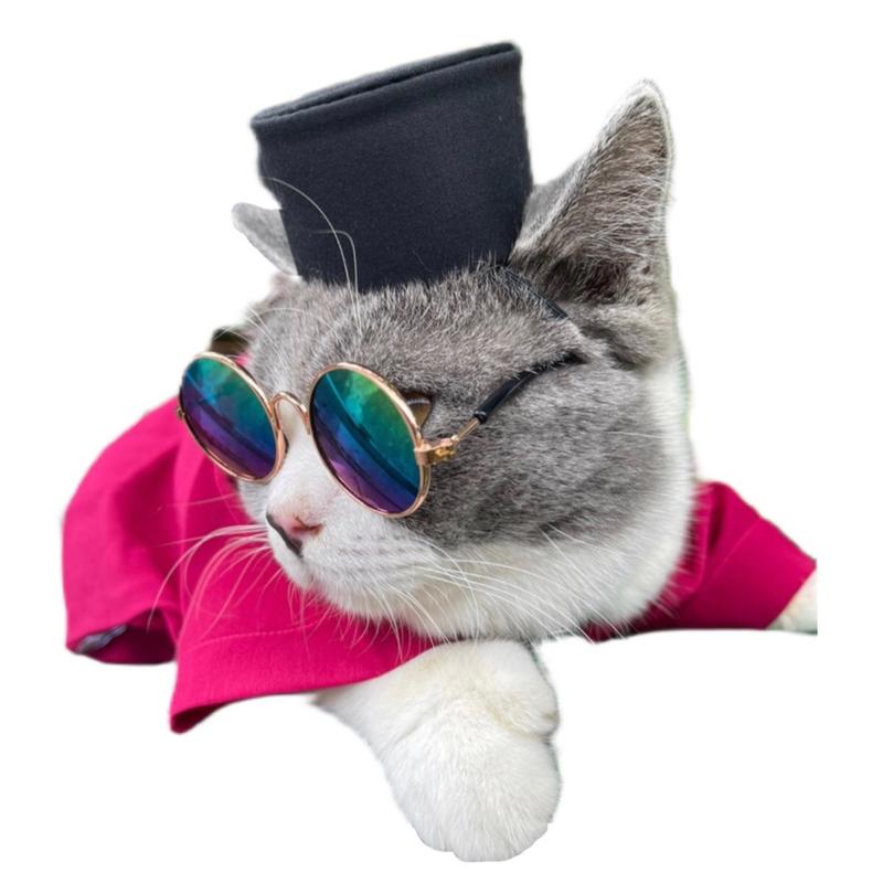 Pakaian Kucing Melayu, Baju Raya, Baju Kurung, Baju Songkok, - TikTok ...