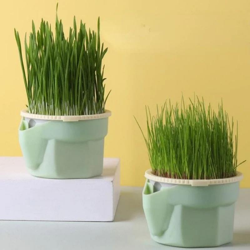 Convenient Hydroponic Cat Grass Box Planter Easy To Grow Hierarchical ...