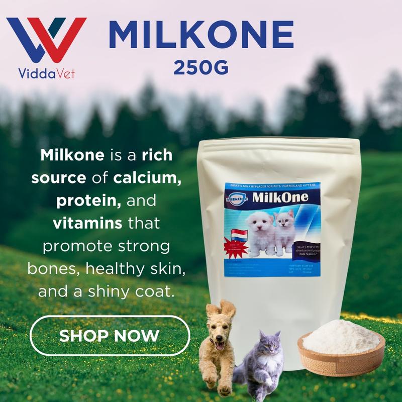 Viddapet MilkOne 250g milkone replacer for goat milk milkone - TikTok ...