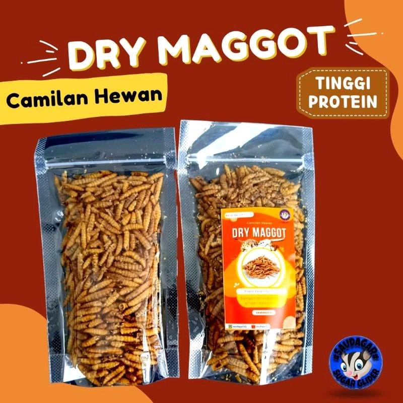 Dry Maggot/maggot BSF Maggot Kering Protein Tinggi untuk Sugar - Shop ...