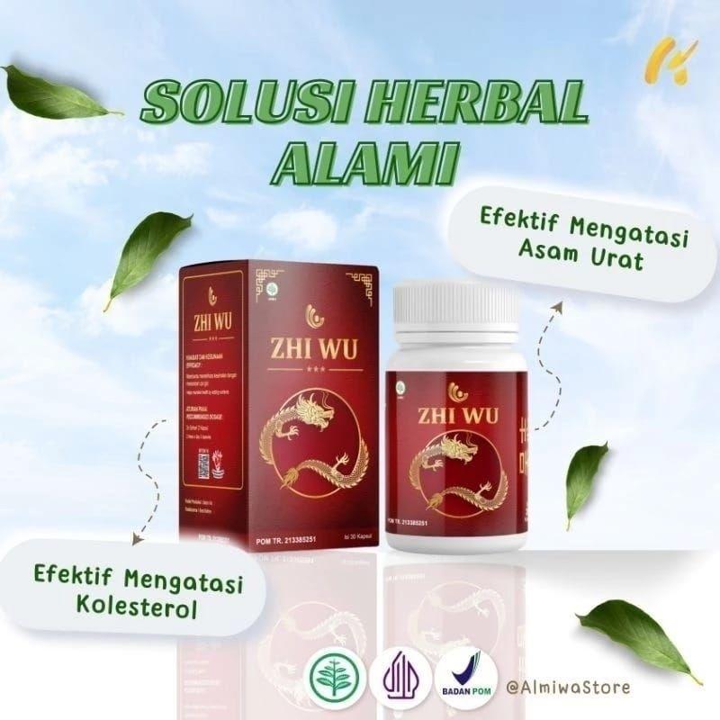 BISA COD PROMO FLASH SALE Zhi Wu Asli Original Obat Asam Urat Rematik ...