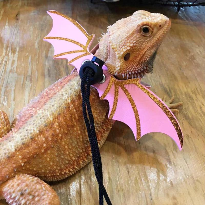 Flying Lizard Leash, Flying Lizard Leash Ropes and Leashes - - TikTok ...