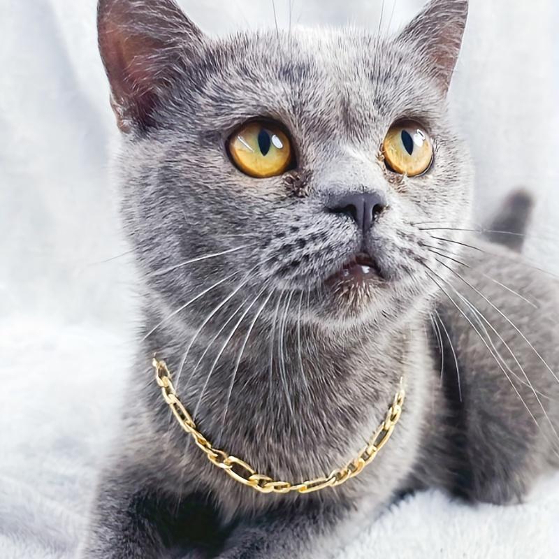 Kalung Kucing Aluminium, Bergaya dan Elegan, Tahan Lama, Ringan ...