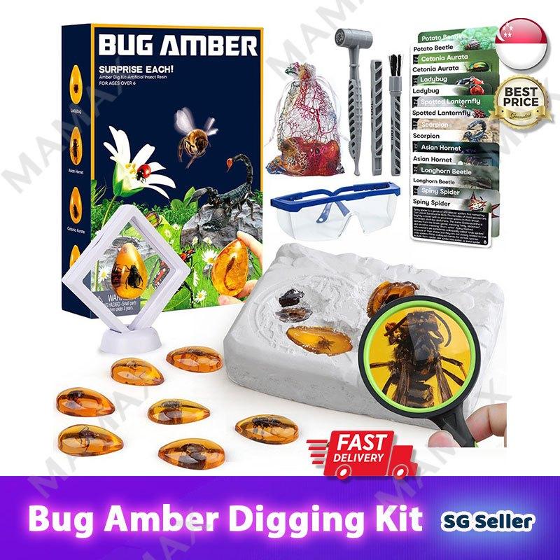 【SG Stock】Kids Bug Amber Digging Kit ToyArchaeological Excavation ...