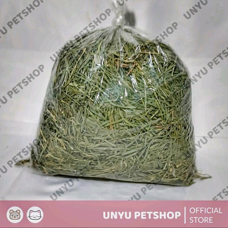 Serba Rumput Hay Rumput kering makanan kelinci Marmut 250gr - Shop ...