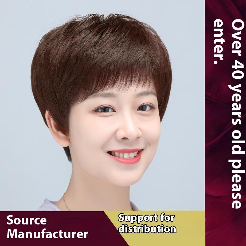 100% Human Hair Wigs For Women Short Wig Hair Modern Style Full ...