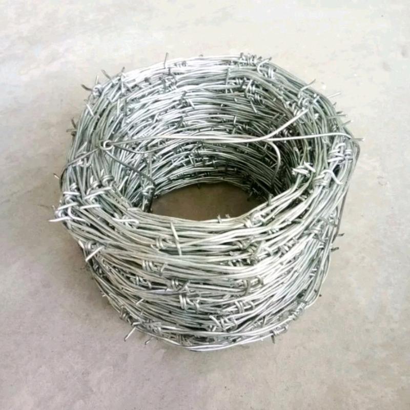 【5 kg】Pagar Duri | GI Barbed Wire | Dawai Berduri - TikTok Shop Malaysia