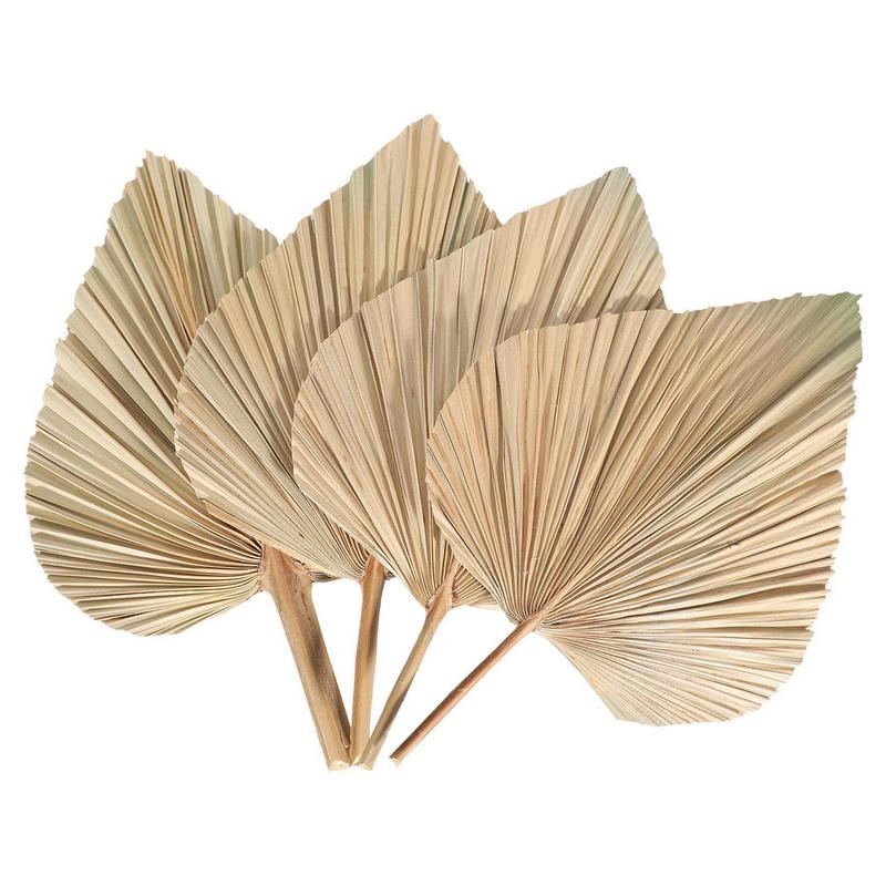 Daun Palma Kering, Set 4 Keping, Peminat Palma, Gaya Bohemia - TikTok ...