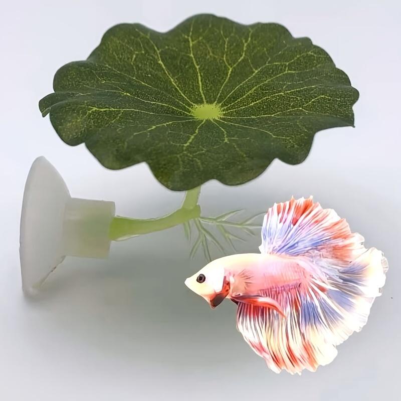 Katil Ikan Betta, Buaian Daun, Hiasan Tangki Ikan Akuarium, Tumbuhan ...