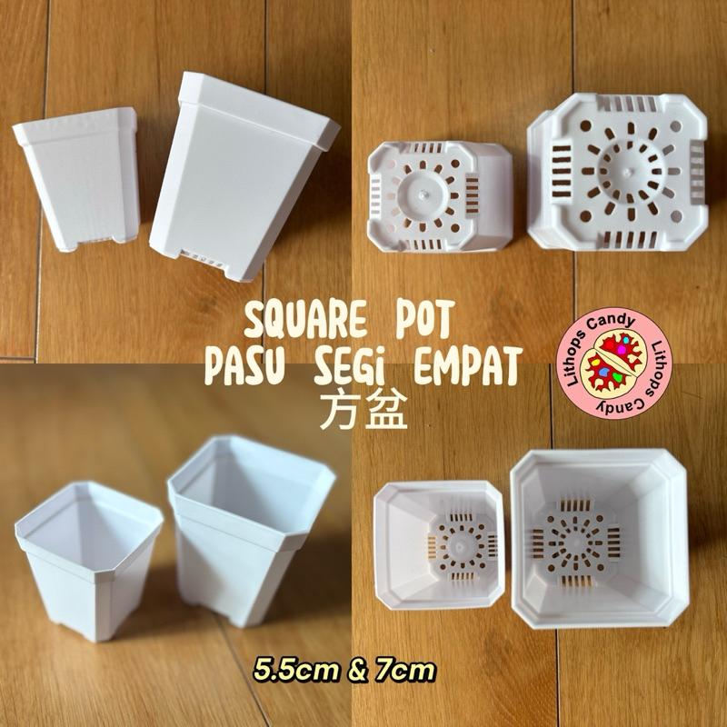 Square White Plastic Pot Pots Pasu Plastic Putih Segi Empat - TikTok ...