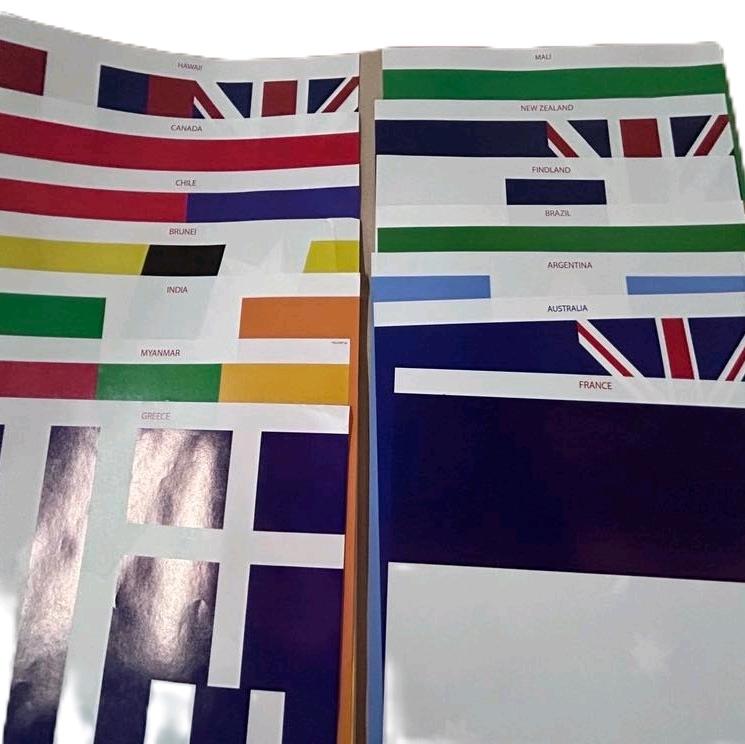 12pcs Random Flags ( Lowest Price ) - TikTok Shop Philippines