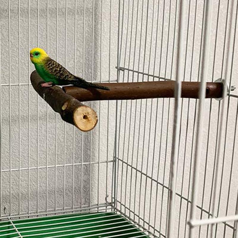 slolbut- Pet Rest Perch Stable High Quality Parrot Branch Perches ...
