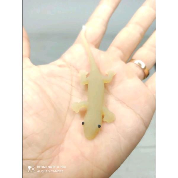 mainan cicak karet mirip asli - Shop | Tokopedia