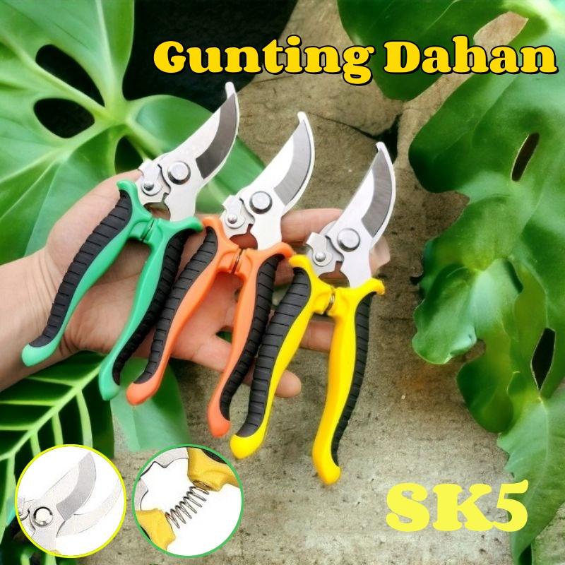 Gunting Stainless dan ringan untuk memotong dahan stek ranting - Shop ...