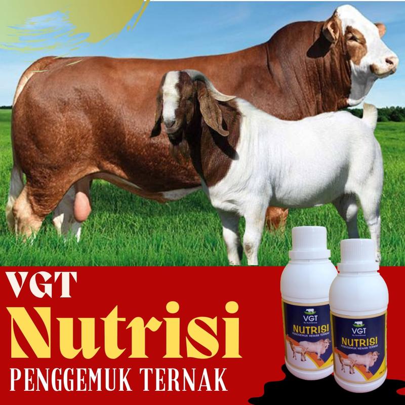 VGT Nutrisi Penggemuk Ternak Sapi Kambing Domba - Menambah Nafsu - Shop ...