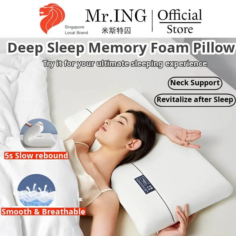 (TOP)Mr.ING Official Store - 10cm Slow Rebound Memory Foam Pillow for ...