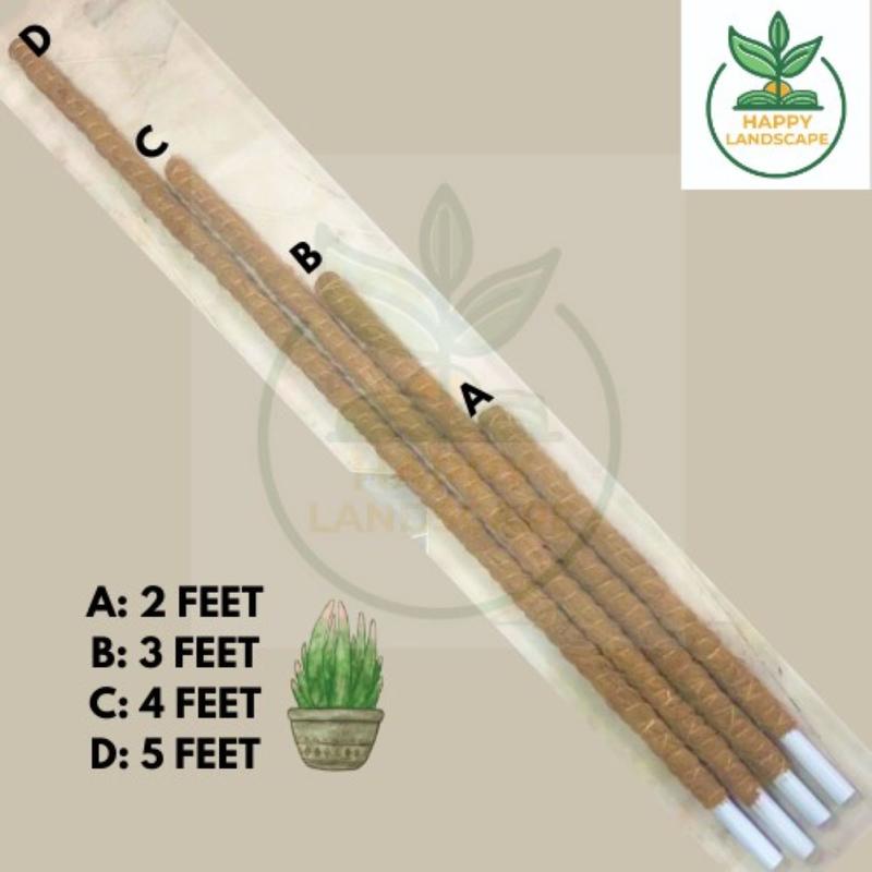 1 PCS 2FT /3FT /4FT /5FT Coco Stick For Money Plants Flower Climb ...