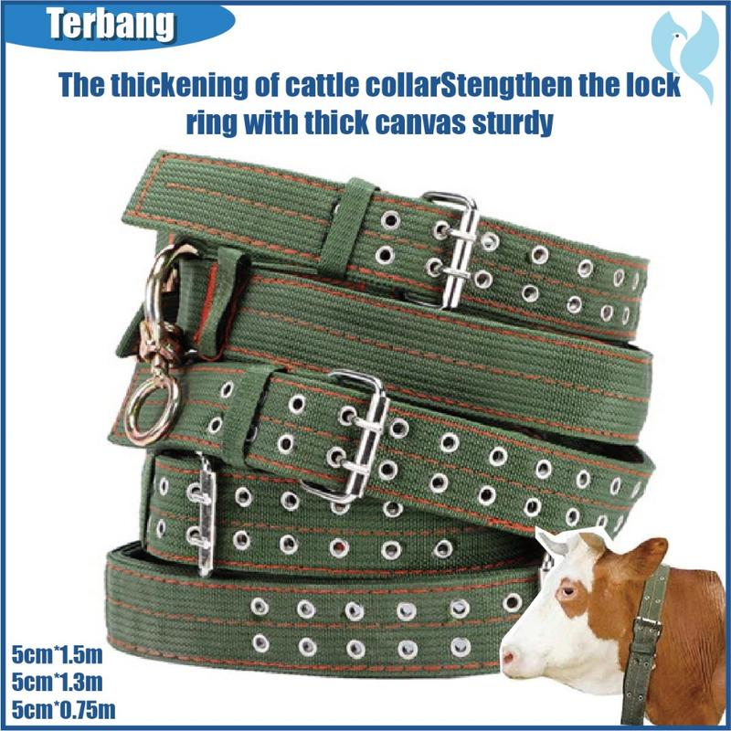Tali Tuntun Kerah Sabuk Untuk Sapi Kuda Kambing Domba Lama Kalung ...