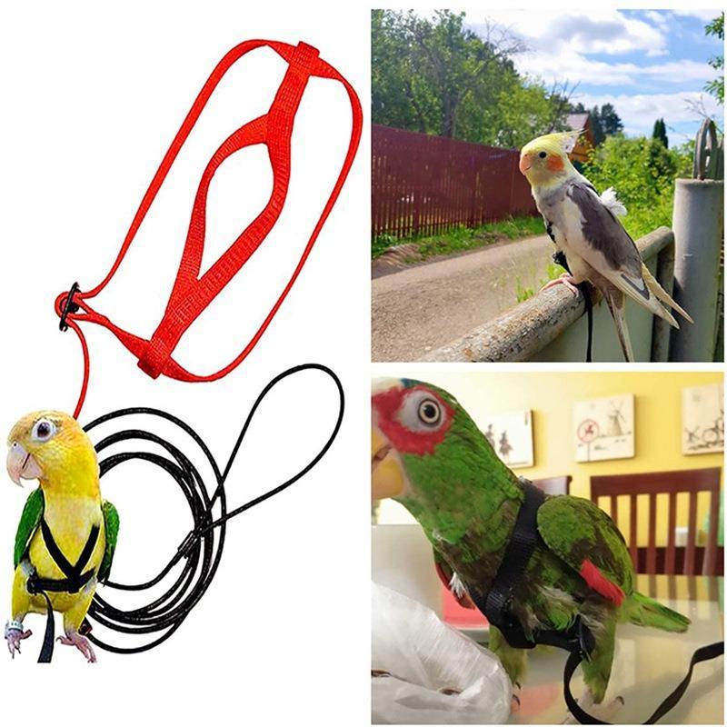 Training Flying Traction Rope Anti-Bite Training Rope Bird Leash ...