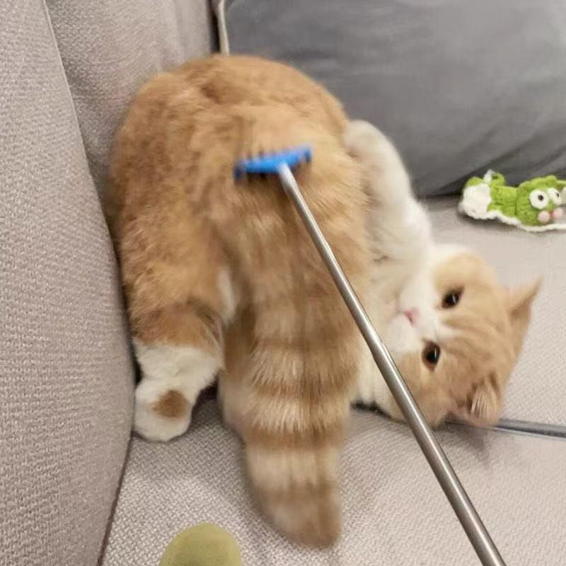 Scratcher for Cats Dogs, Portable Extendable Telescoping Scratcher ...