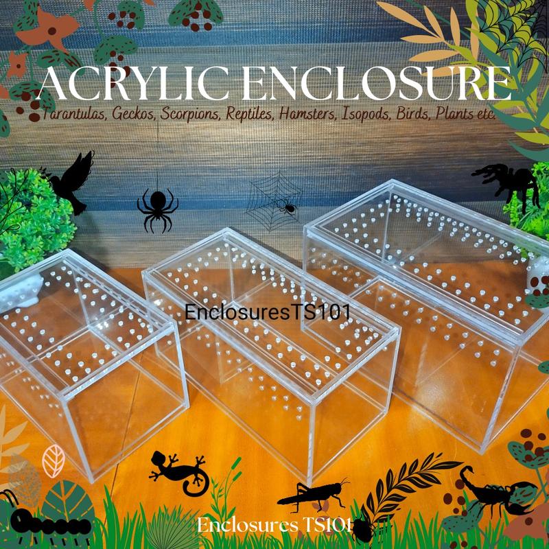 Acrylic Enclosure Cage Side for Tarantula, Scorpion, Reptiles, - TikTok ...