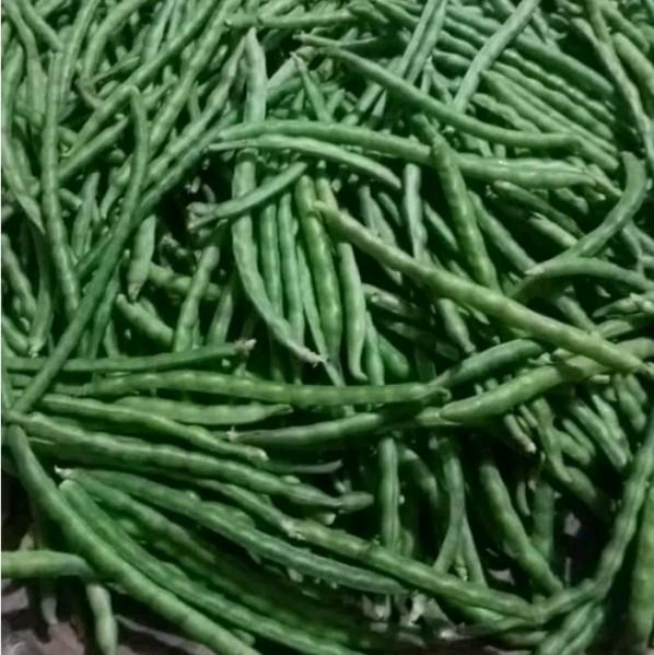 Native Sitaw na turo Seeds/ ilocano for planting/ new harvest - TikTok ...