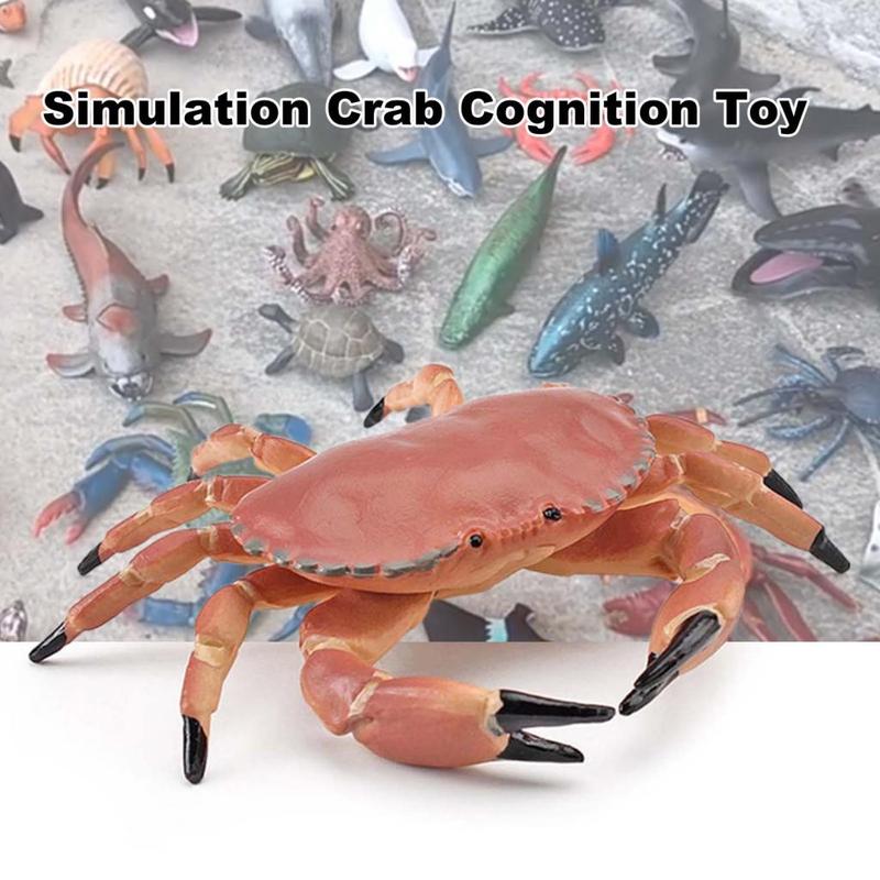 Habtter Animal Model Toy Safe Gift Children Simulation Crab Cognition ...