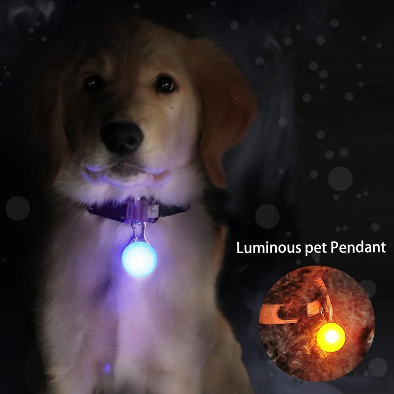 TK Pet Night Safety LED Flashlight Collar Fascinating Dog Ca - TikTok ...